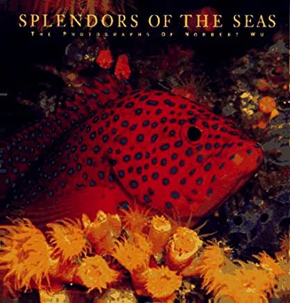 Splendors of the Seas: The Photographs of Norbert Wu – Eva's Used Books